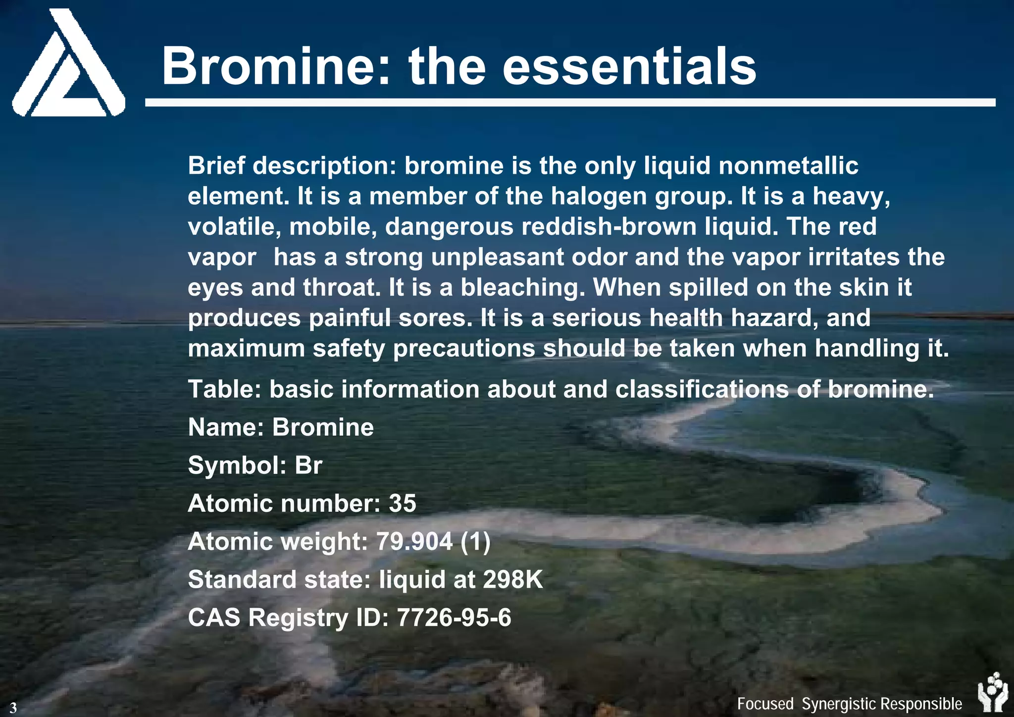 L02_Global Bromine Industry.pdf