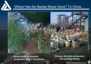 L02_Global Bromine Industry.pdf