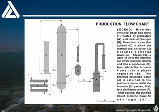 L02_Global Bromine Industry.pdf
