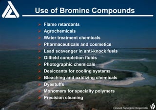 L02_Global Bromine Industry.pdf