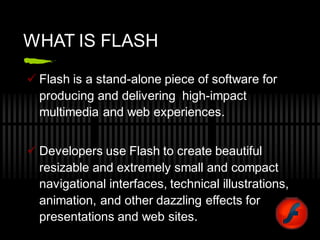 LESSON 2 - Flash Animation | PDF
