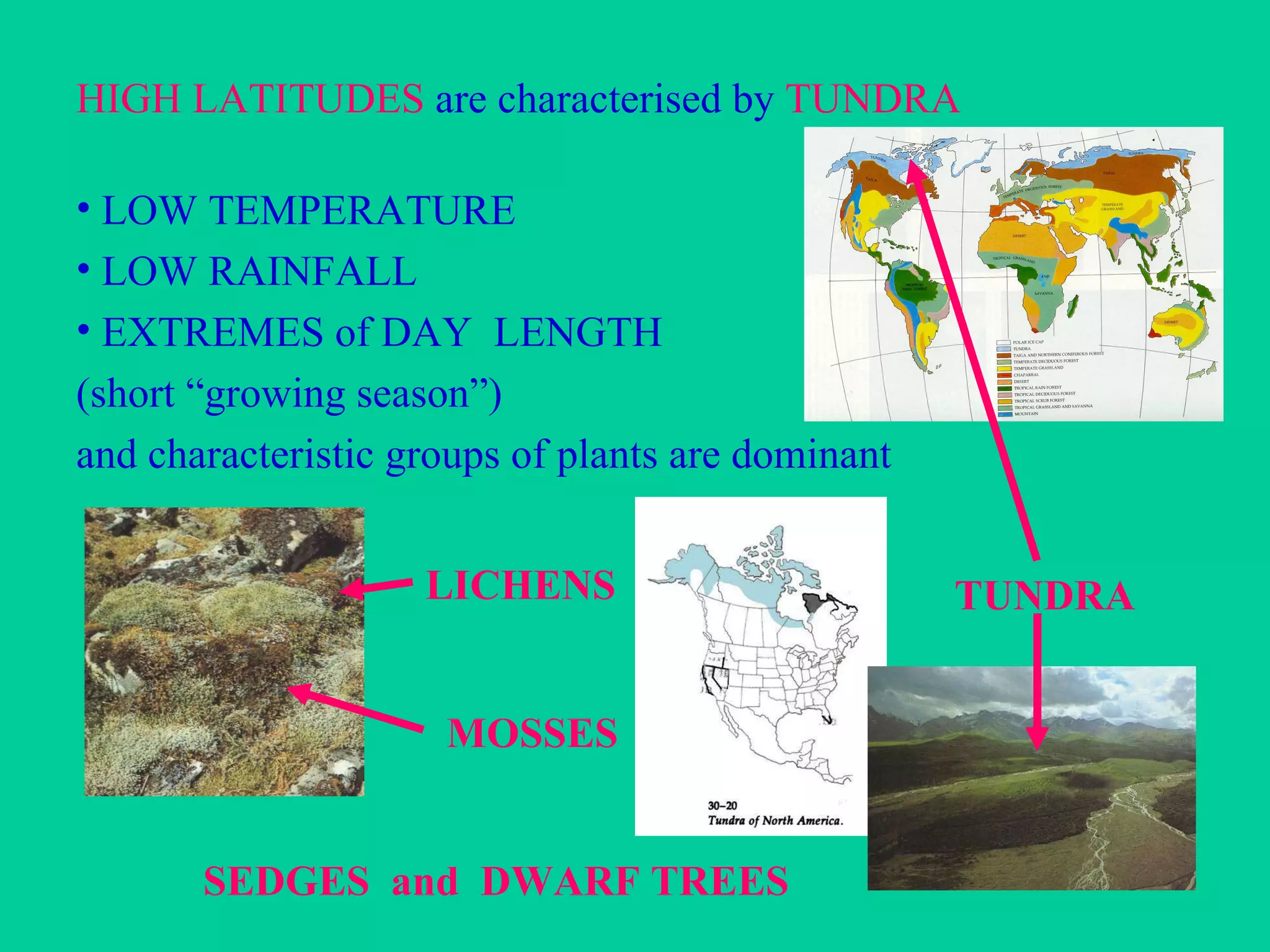 L03 Ecosystems Biomes | PPT