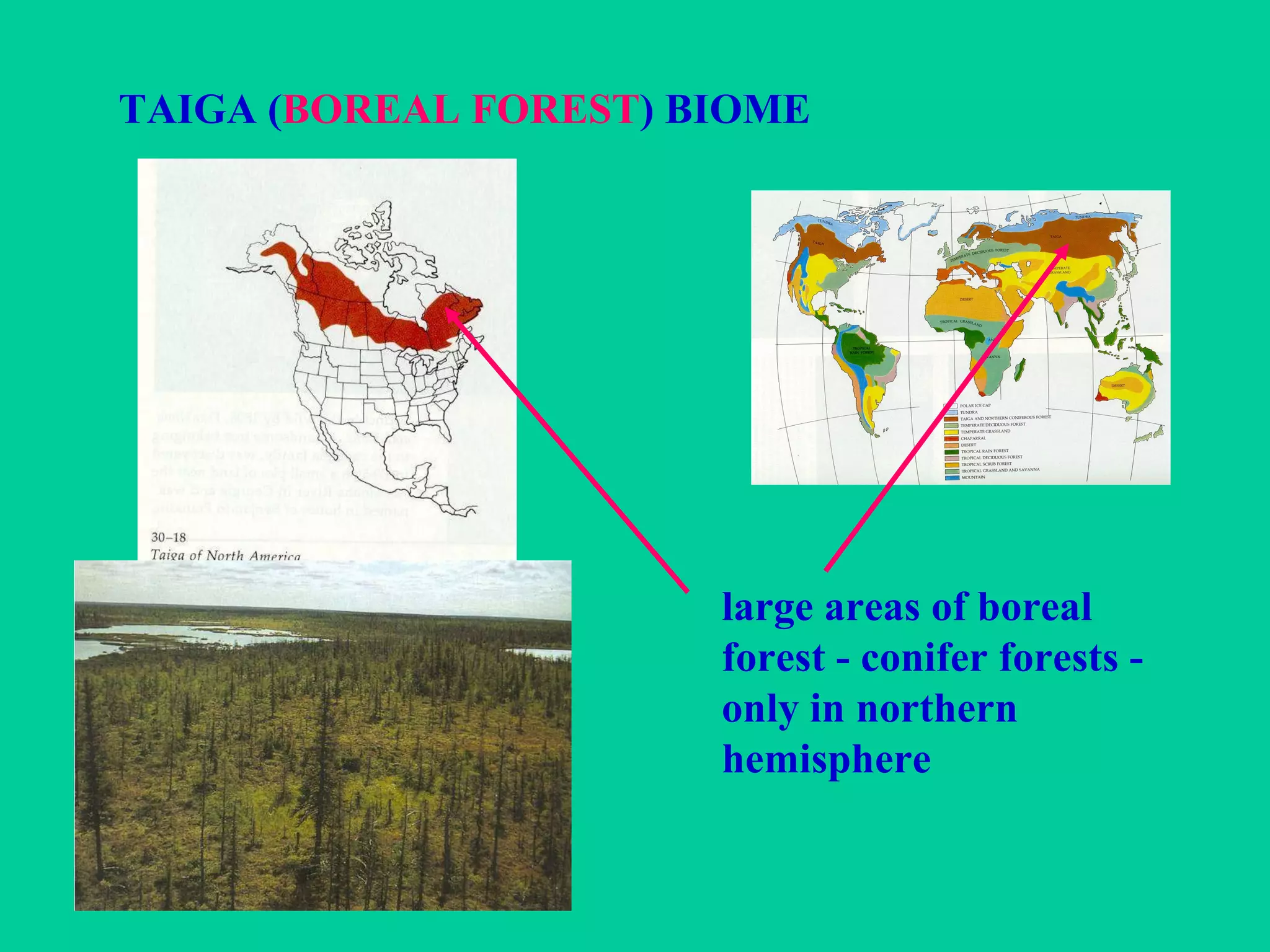L03 Ecosystems Biomes | PPT
