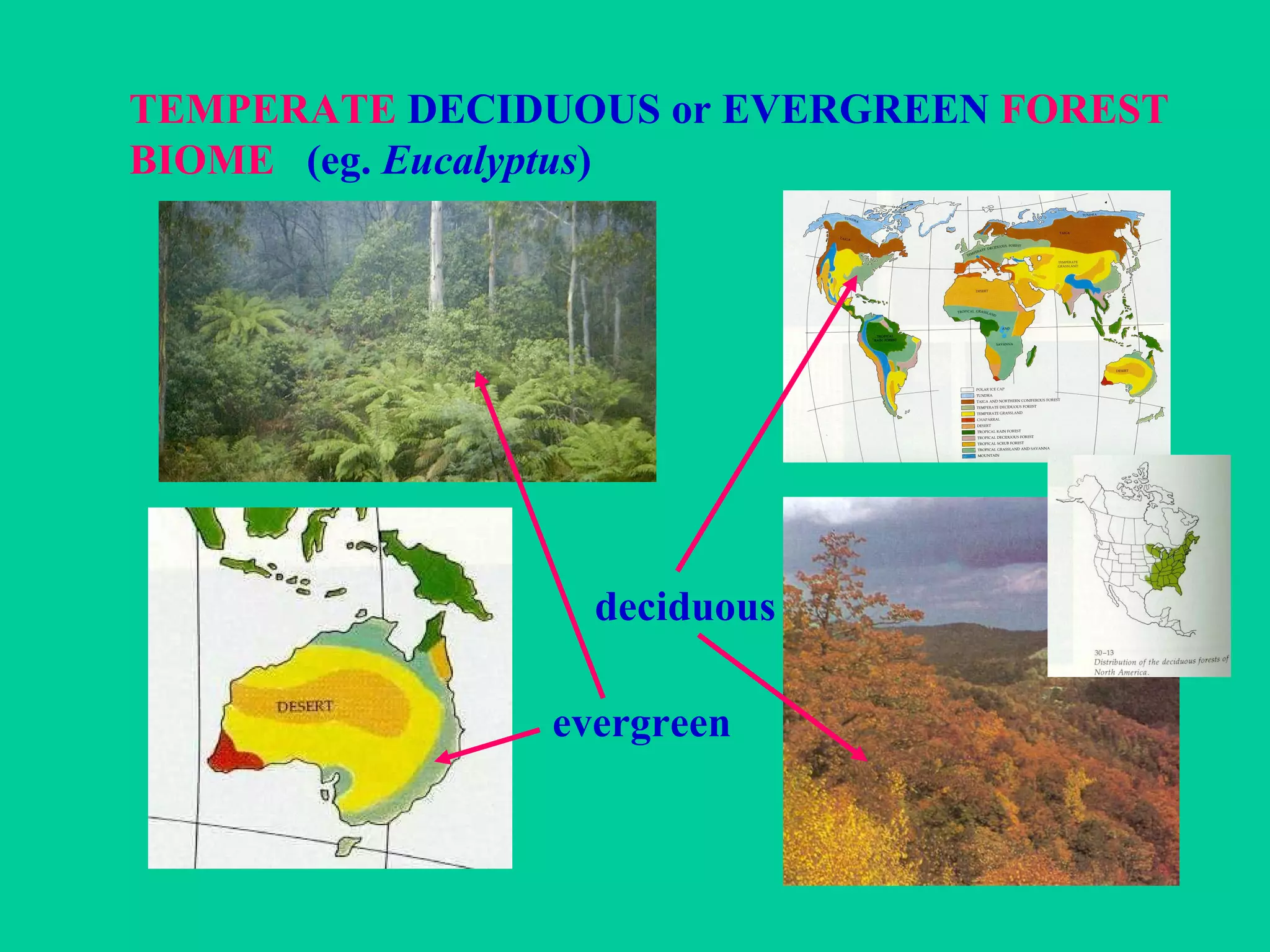 L03 Ecosystems Biomes | PPT