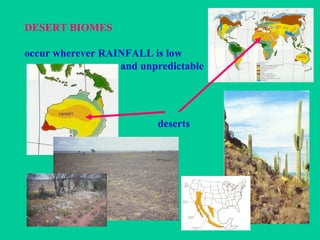 L03 Ecosystems Biomes | PPT