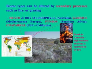 L03 Ecosystems Biomes | PPT
