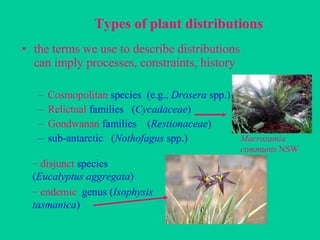 L03 Ecosystems Biomes | PPT