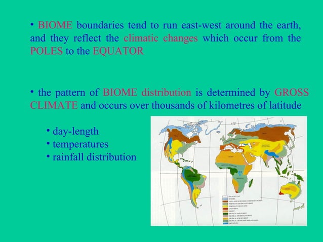 L03 Ecosystems Biomes | PPT