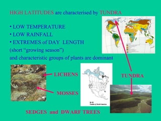 L03 Ecosystems Biomes | PPT