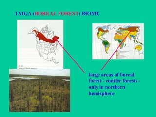 L03 Ecosystems Biomes | PPT