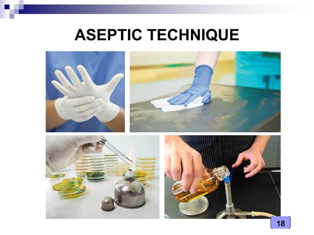 Medical Microbiology Laboratory (sterilization and disinfection) | PDF