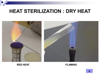 Medical Microbiology Laboratory (sterilization and disinfection) | PDF