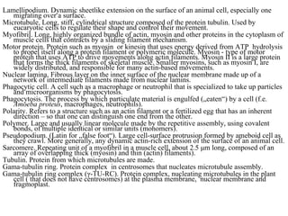L05 cytoskeleton | PDF
