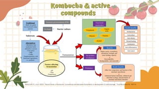L05 Kombucha Handout presentation example of functional foods | PDF