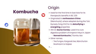 L05 Kombucha Handout presentation example of functional foods | PPT