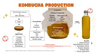 L05 Kombucha Handout presentation example of functional foods | PDF