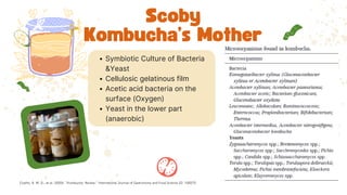 L05 Kombucha Handout presentation example of functional foods | PPT