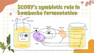 L05 Kombucha Handout presentation example of functional foods | PDF