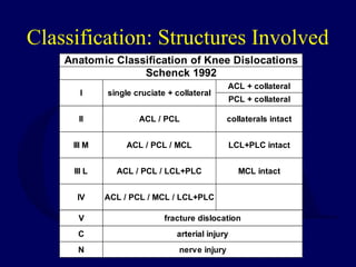 L06 knee dislocations | PPT