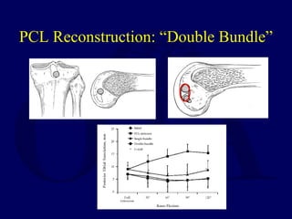 L06 knee dislocations | PPT
