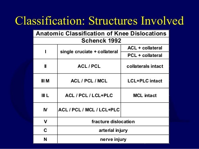 L06 knee dislocations