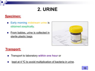Medical Microbiology Laboratory (sample collection) | PDF