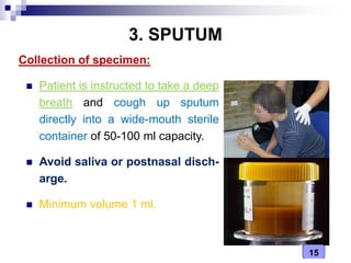 Medical Microbiology Laboratory (sample collection) | PDF