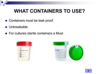 Medical Microbiology Laboratory (sample collection) | PDF