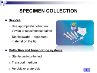 Medical Microbiology Laboratory (sample collection) | PDF