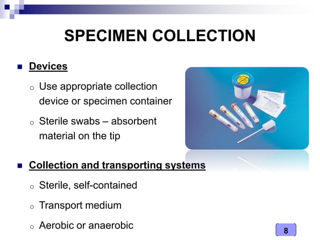 Medical Microbiology Laboratory (sample collection) | PDF