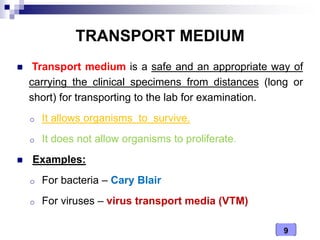 Medical Microbiology Laboratory (sample collection) | PDF