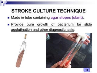 Medical Microbiology Laboratory (culture techniques) | PDF