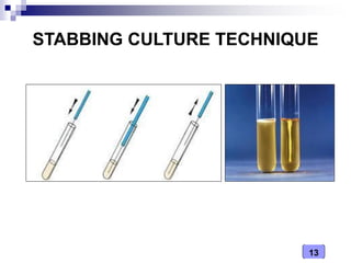 Medical Microbiology Laboratory (culture techniques) | PDF