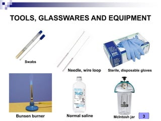 Medical Microbiology Laboratory (culture techniques) | PDF