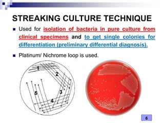 Medical Microbiology Laboratory (culture techniques) | PDF