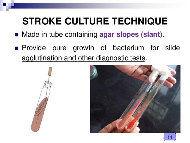 Medical Microbiology Laboratory (culture techniques)