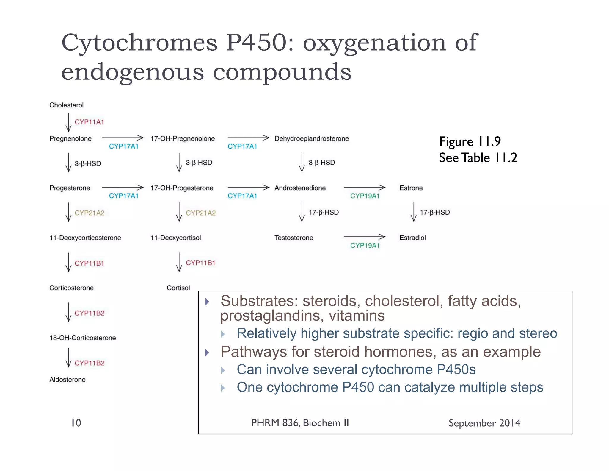 l07_cytochromes-p450 (2).pdf