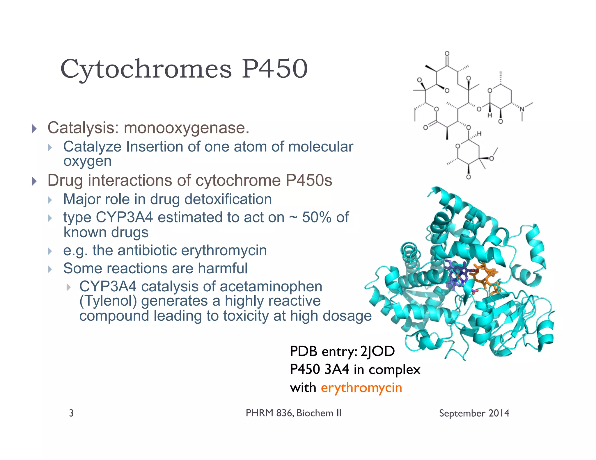 l07_cytochromes-p450 (2).pdf