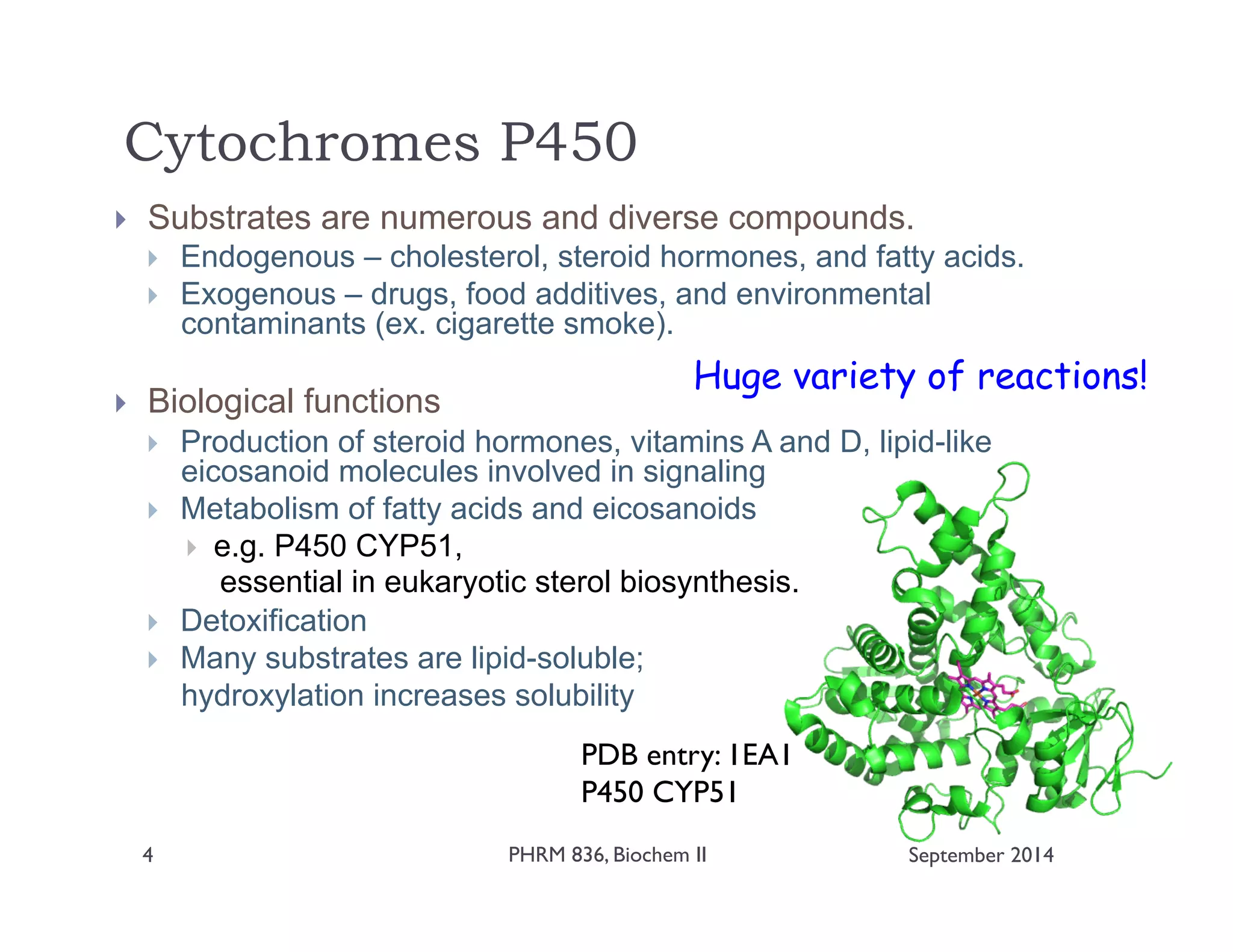 l07_cytochromes-p450 (2).pdf