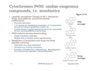 l07_cytochromes-p450 (2).pdf