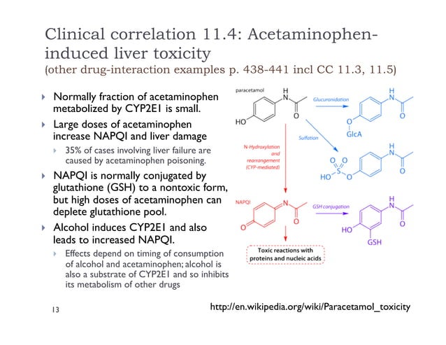 l07_cytochromes-p450 (2).pdf