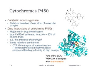 l07_cytochromes-p450 (2).pdf