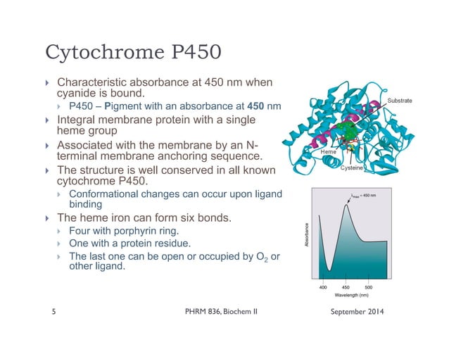 l07_cytochromes-p450 (2).pdf