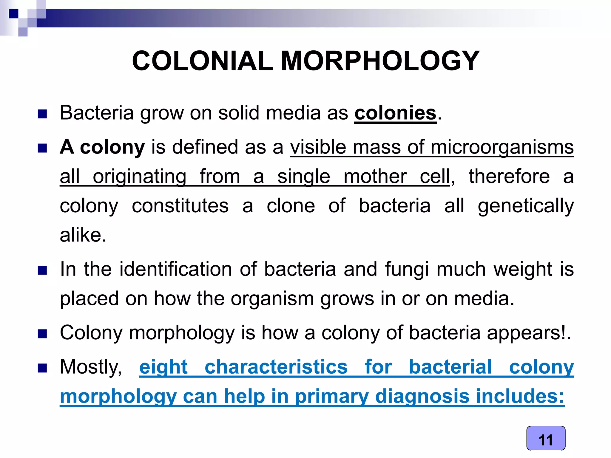 Medical Microbiology Laboratory (bacterial shapes, arrangement and ...