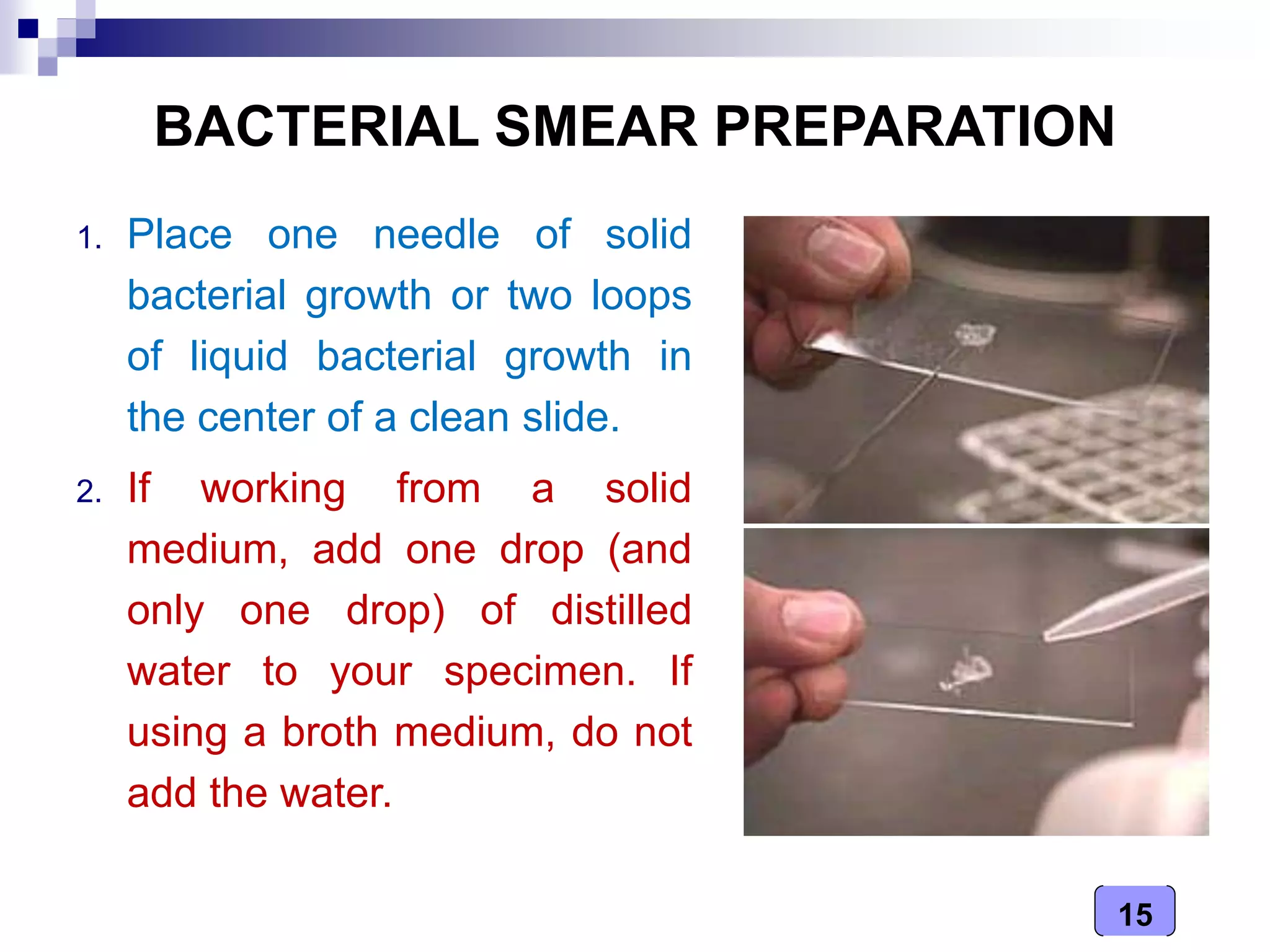 Medical Microbiology Laboratory (bacterial shapes, arrangement and staining techniques) | PDF