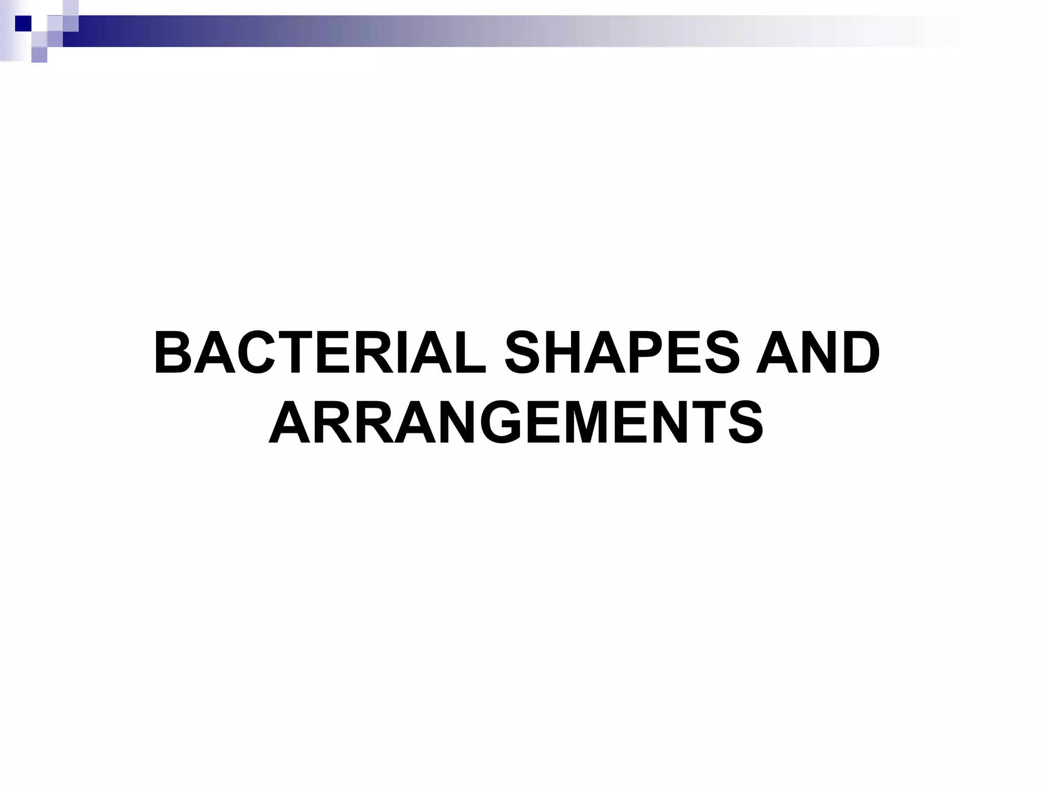 Medical Microbiology Laboratory (bacterial shapes, arrangement and ...