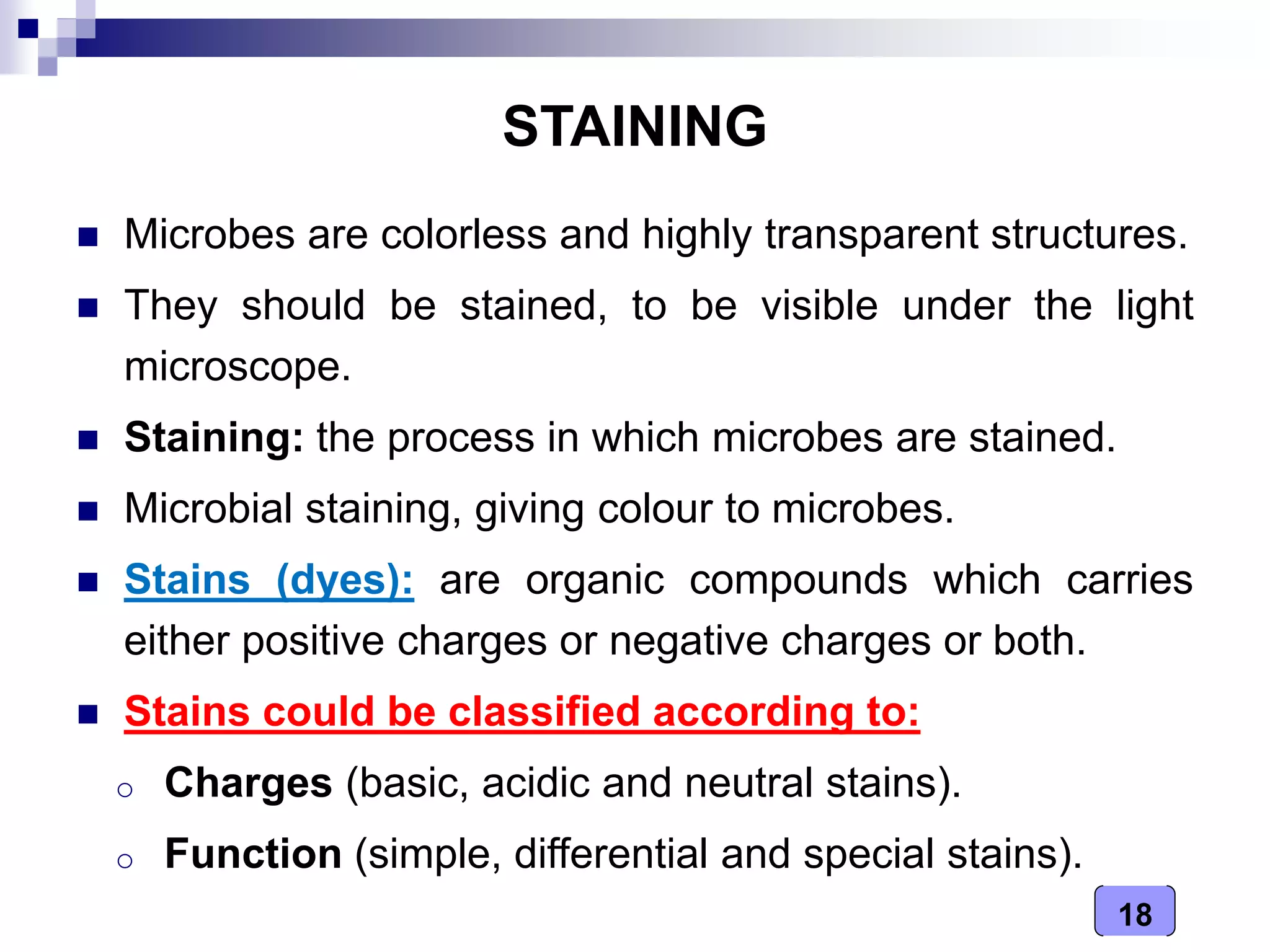 Medical Microbiology Laboratory (bacterial shapes, arrangement and ...