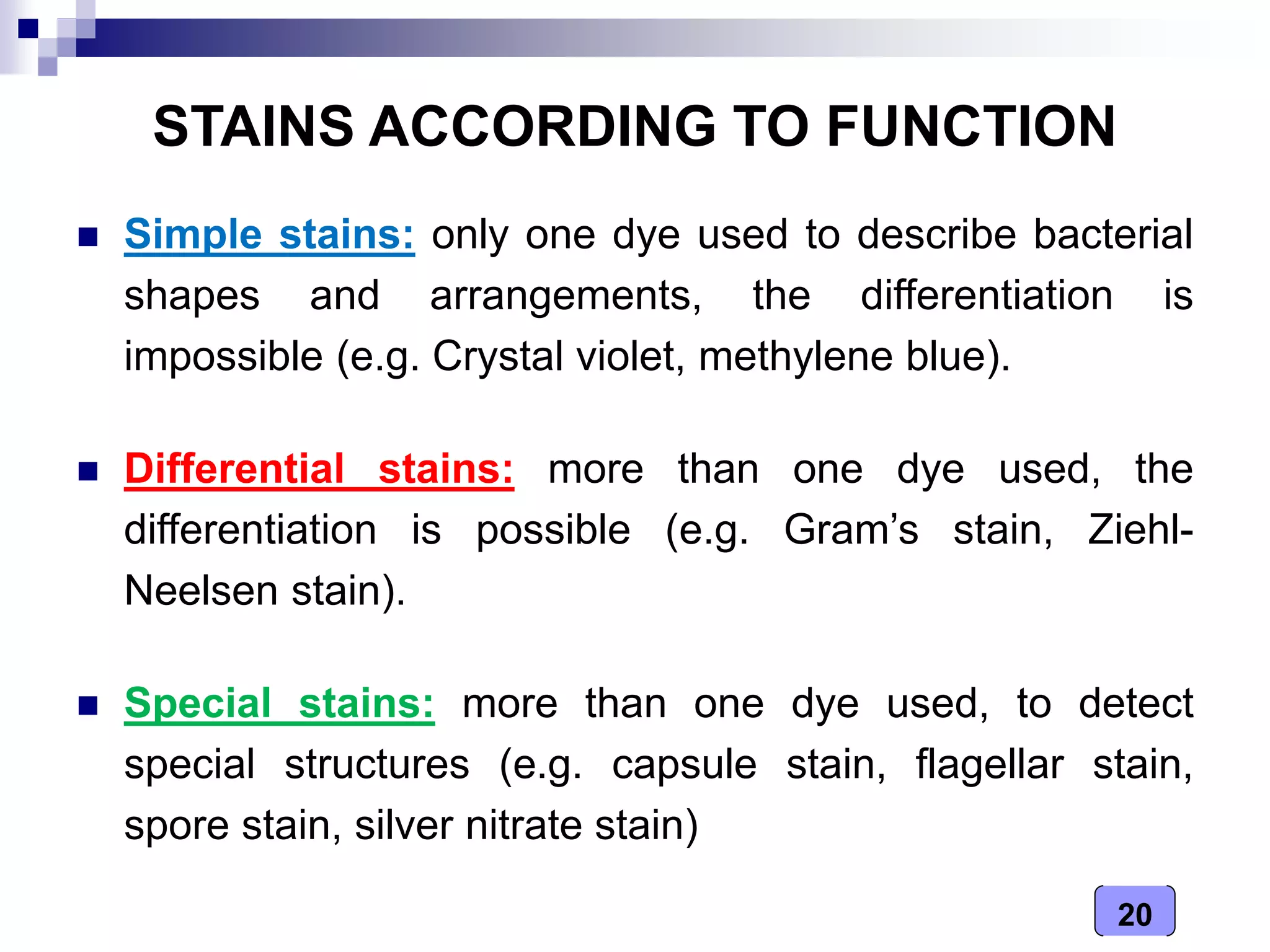 Medical Microbiology Laboratory (bacterial shapes, arrangement and staining techniques) | PDF