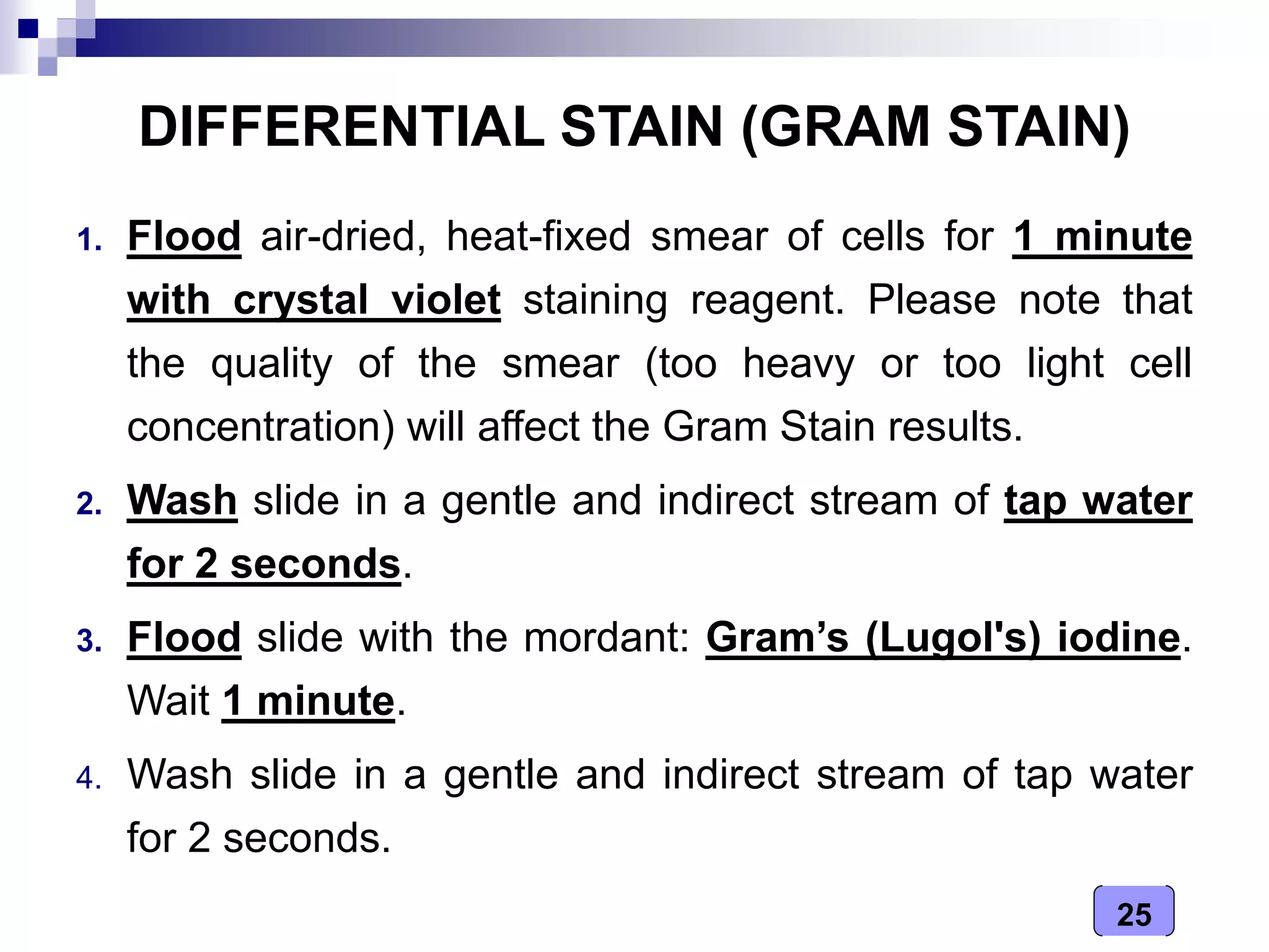 Medical Microbiology Laboratory (bacterial shapes, arrangement and ...