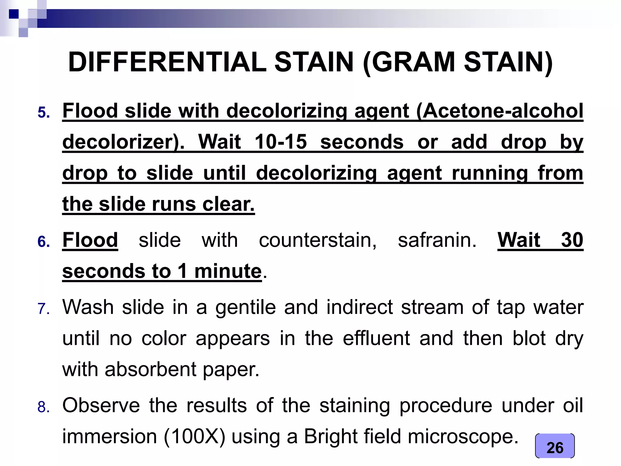Medical Microbiology Laboratory (bacterial shapes, arrangement and staining techniques) | PDF